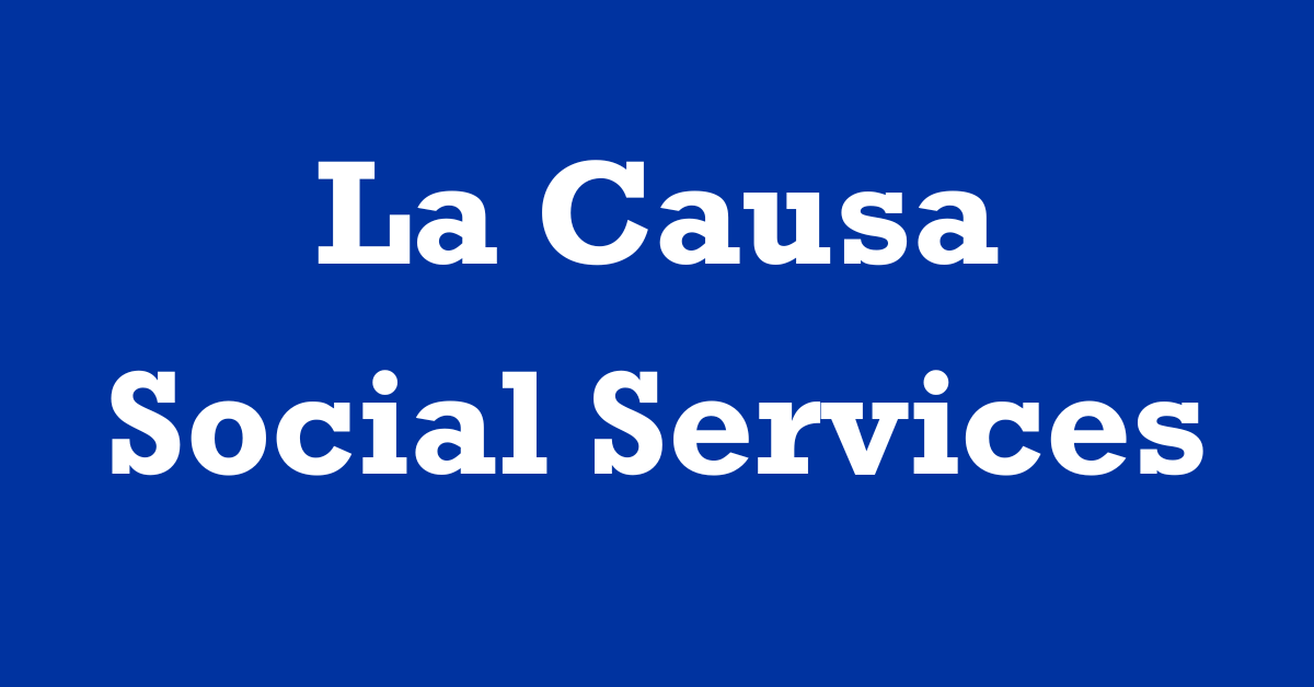 Programas de servicio social para niños y adultos - La Causa